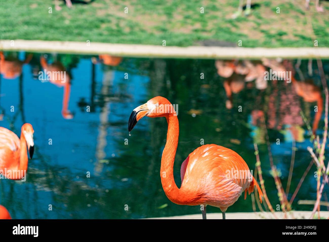 Gorgeous day with friends at the zoo Stock Photo - Alamy