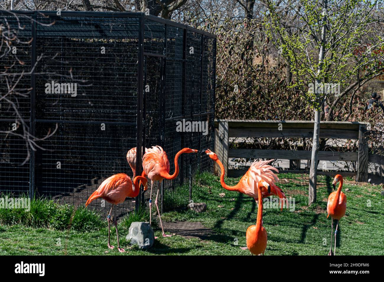 Gorgeous day with friends at the zoo Stock Photo - Alamy