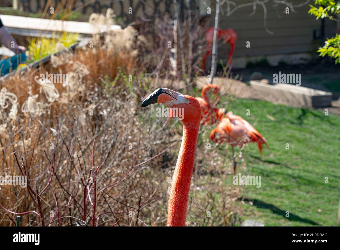 Gorgeous day with friends at the zoo Stock Photo - Alamy