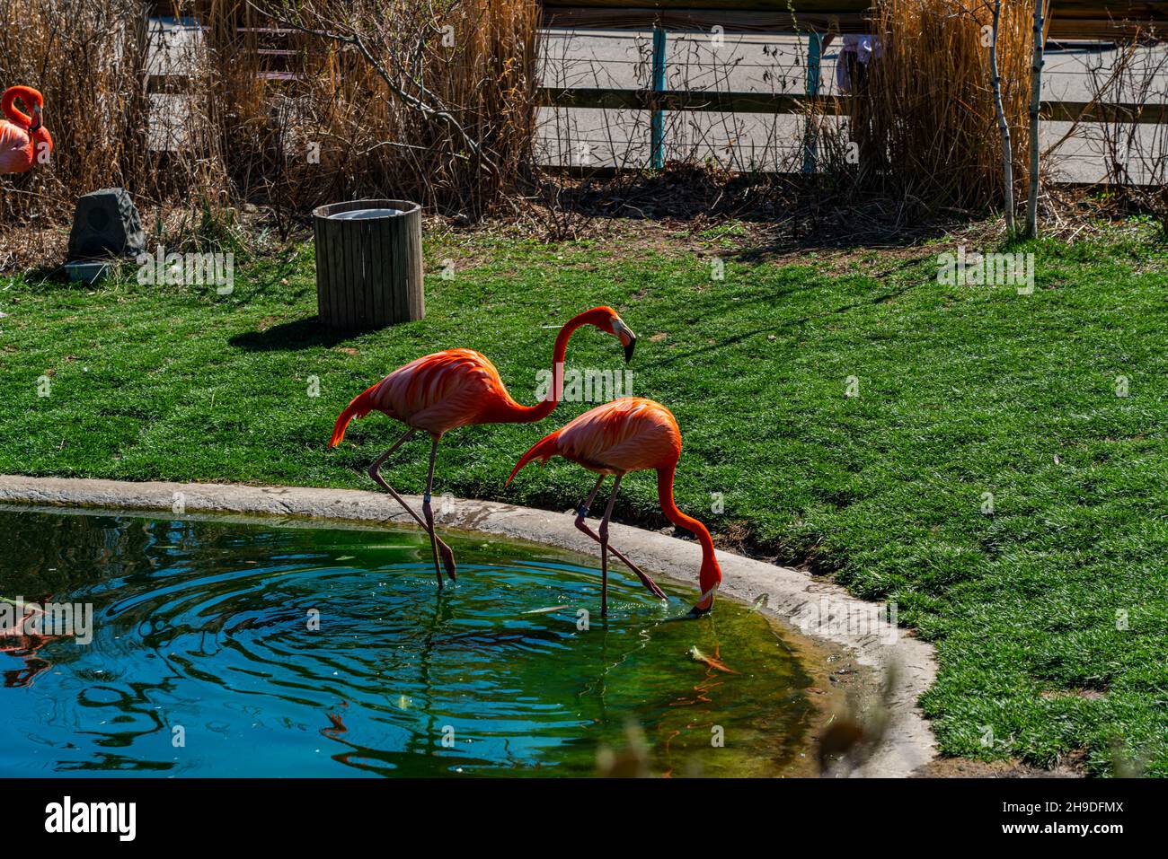 Friends of the zoo hi-res stock photography and images - Alamy