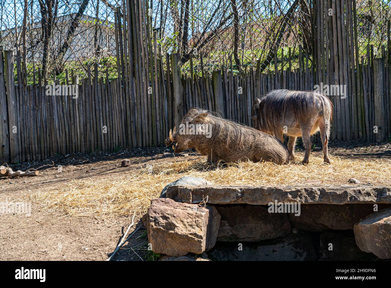 Milwaukee zoo hi-res stock photography and images - Alamy