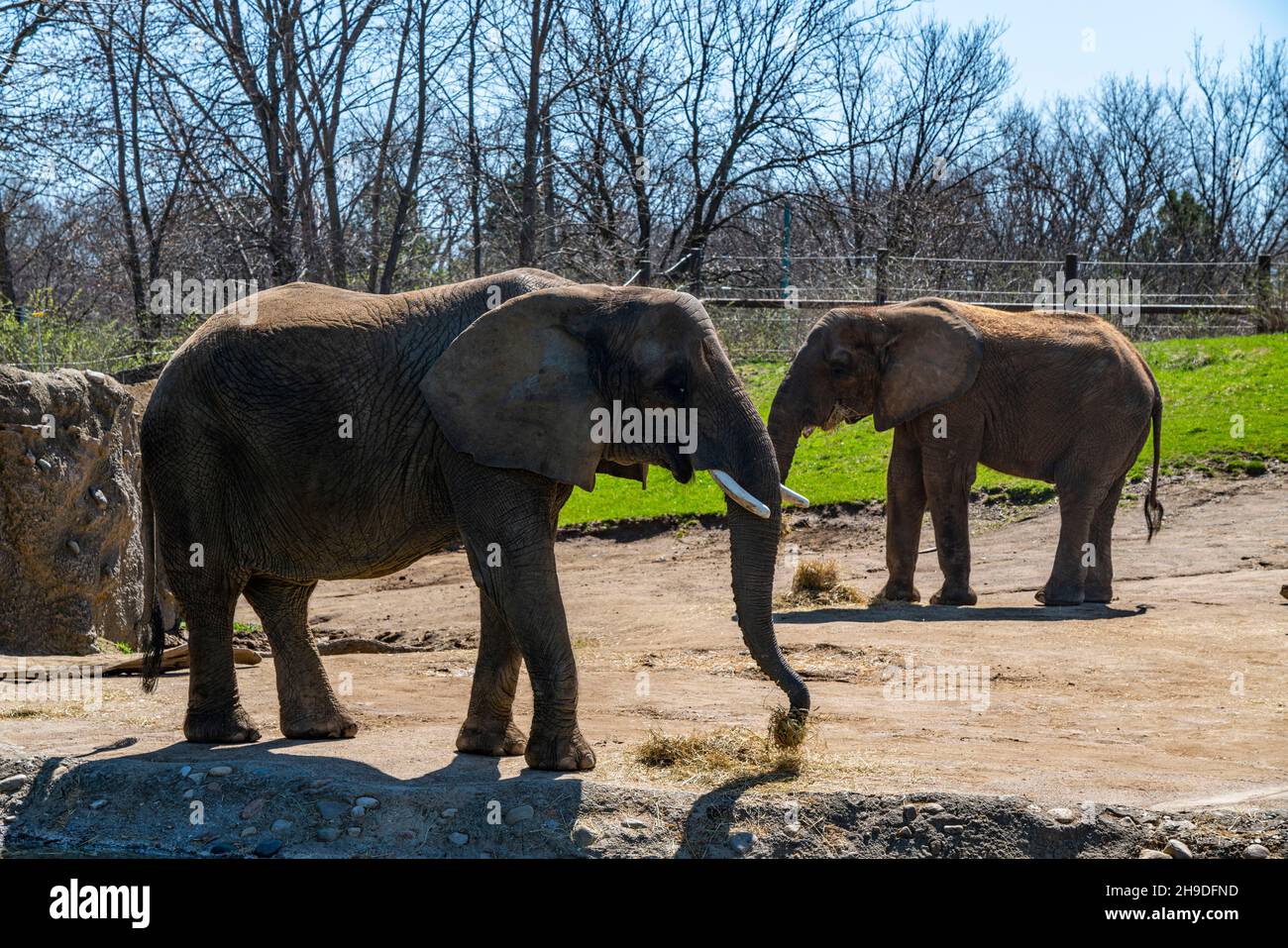 Milwaukee zoo hi-res stock photography and images - Alamy