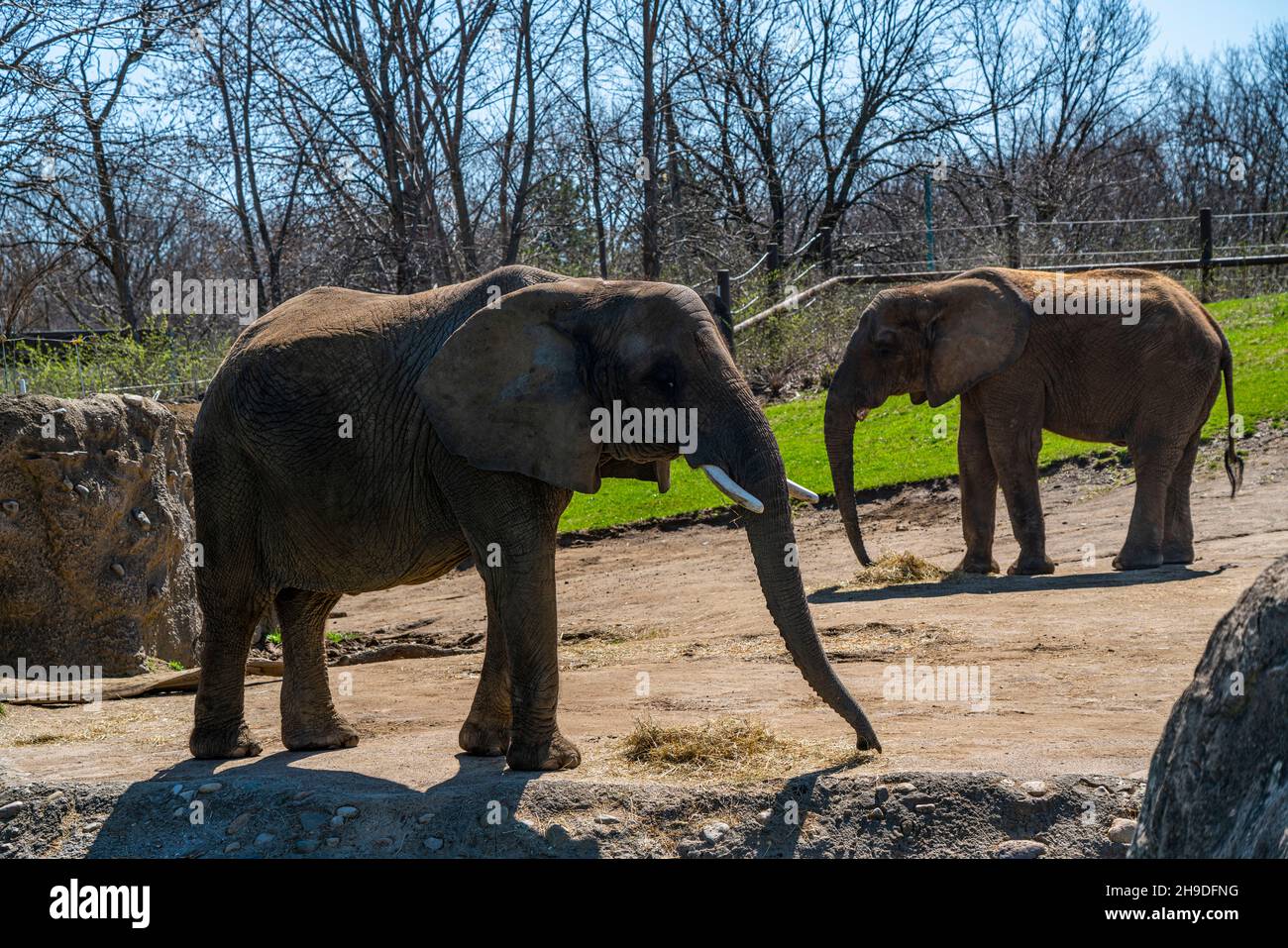 Milwaukee zoo hi-res stock photography and images - Alamy