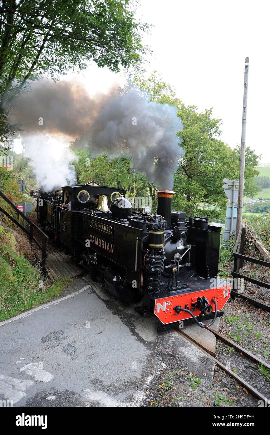 "Prince of Wales" and No. "8" leaving Aberffrwd with a train for Devil ...