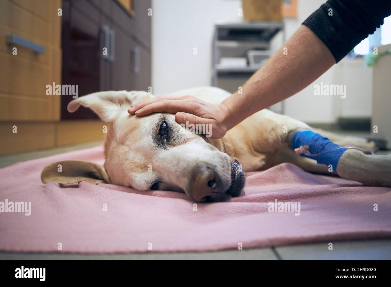 Sick man hospital hi-res stock photography and images - Alamy