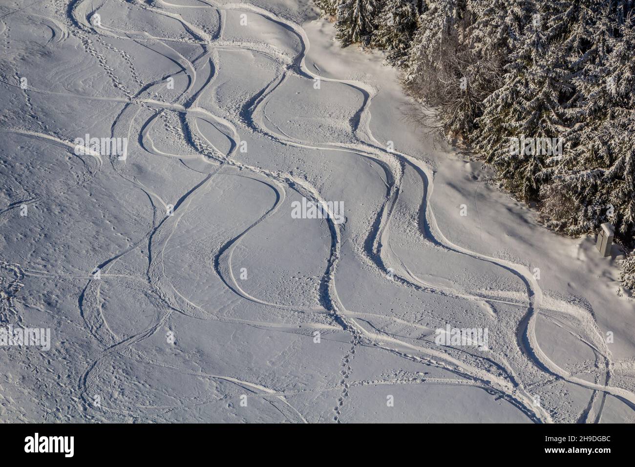 Snowboard tracks in Dolni Morava, Czech Republic Stock Photo - Alamy