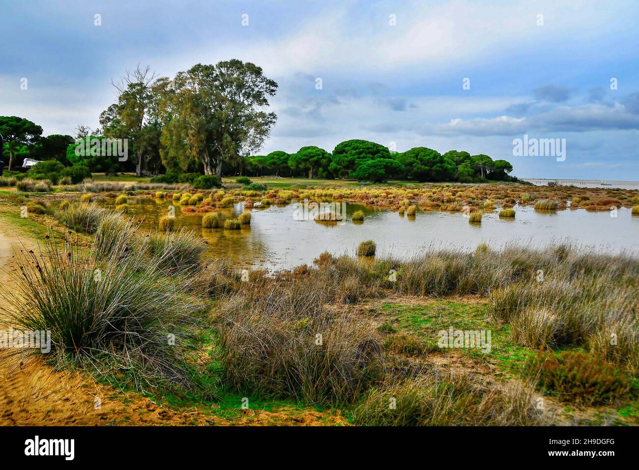 Parque nacional doana hi-res stock photography and images - Alamy