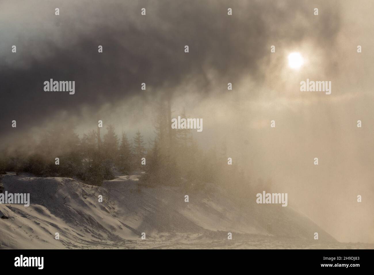 Snowfall cannon hi-res stock photography and images - Alamy
