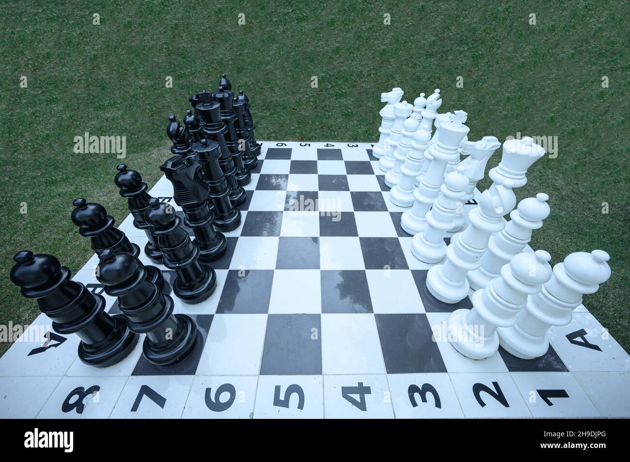 Large outdoor chess set on grass background. Intellectual game on park ...