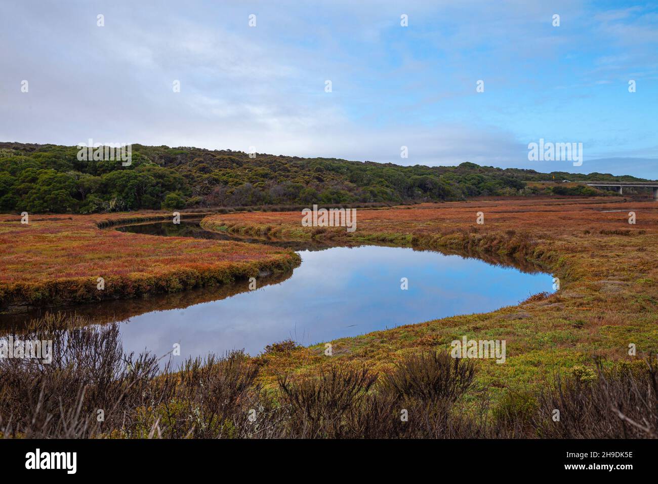 Wetlands in Morro Bay estuary, San Luis Obispo County, California, USA ...