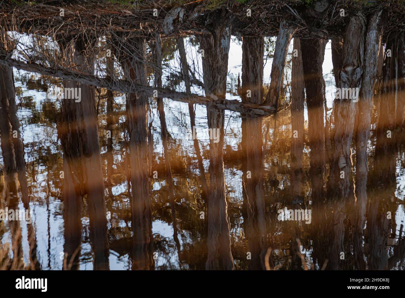 Morro Coast Audubon Society Sweet Springs Nature Preserve, Baywood Park ...