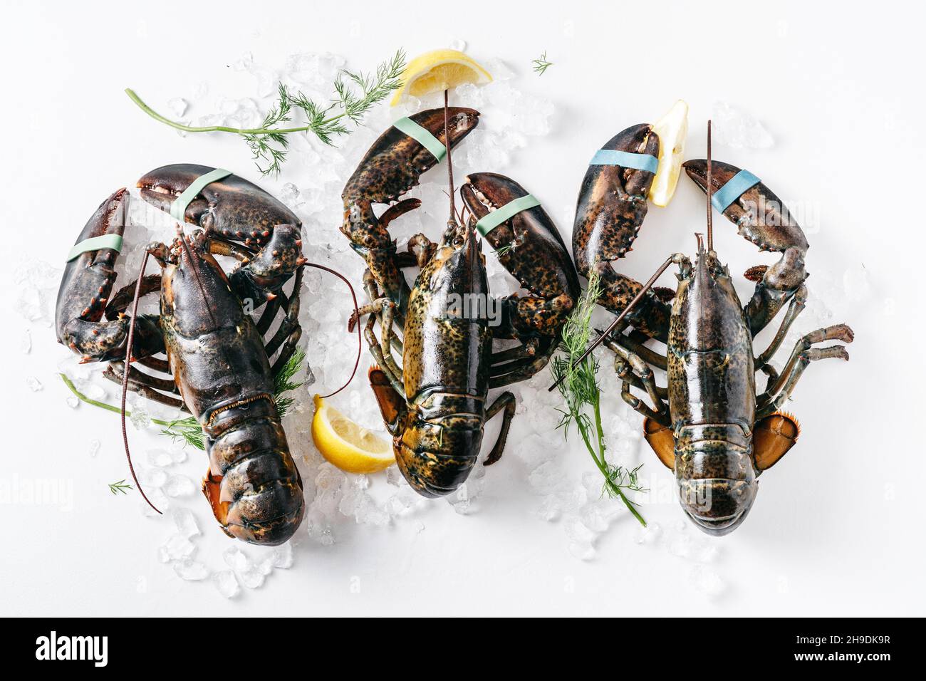 Lobsters uncooked hi-res stock photography and images - Alamy