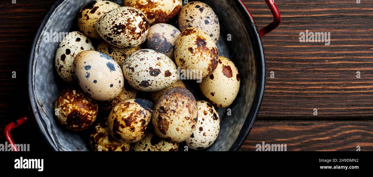 Quail eggs in metal plate on dark old background. Rustic style. Top ...