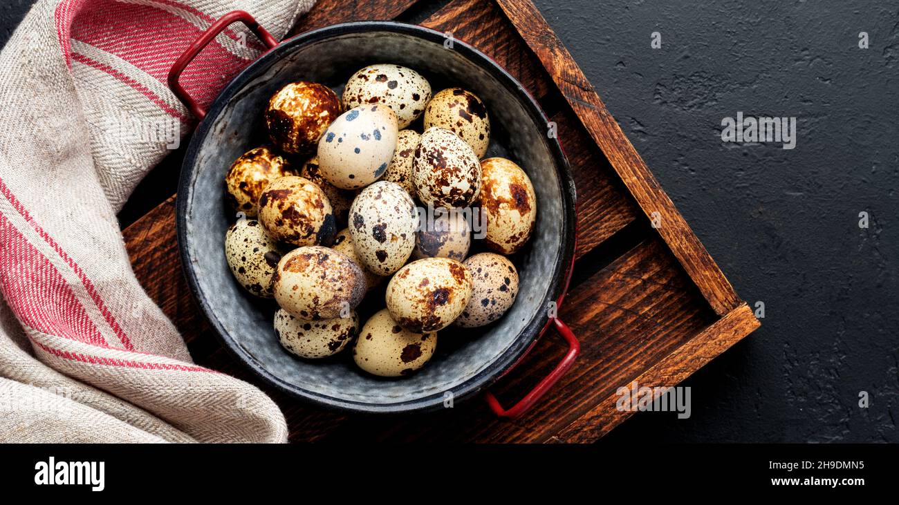 Quail eggs in metal plate on dark old background. Rustic style. Top ...