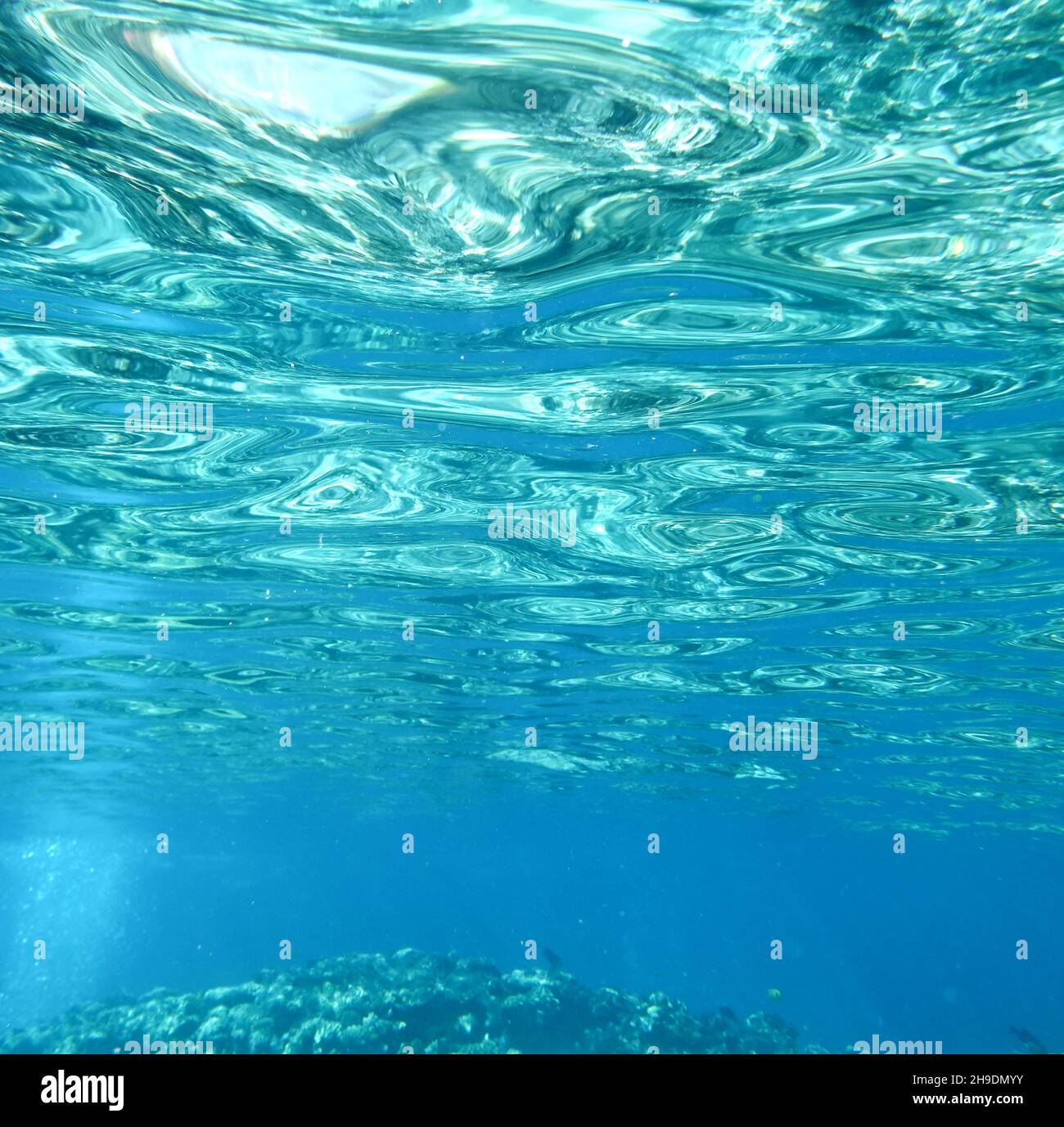 Underwater wave diver hi-res stock photography and images - Alamy