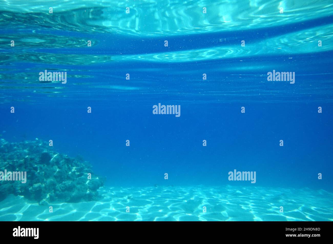 Beautiful underwater background, sun beams Stock Photo - Alamy