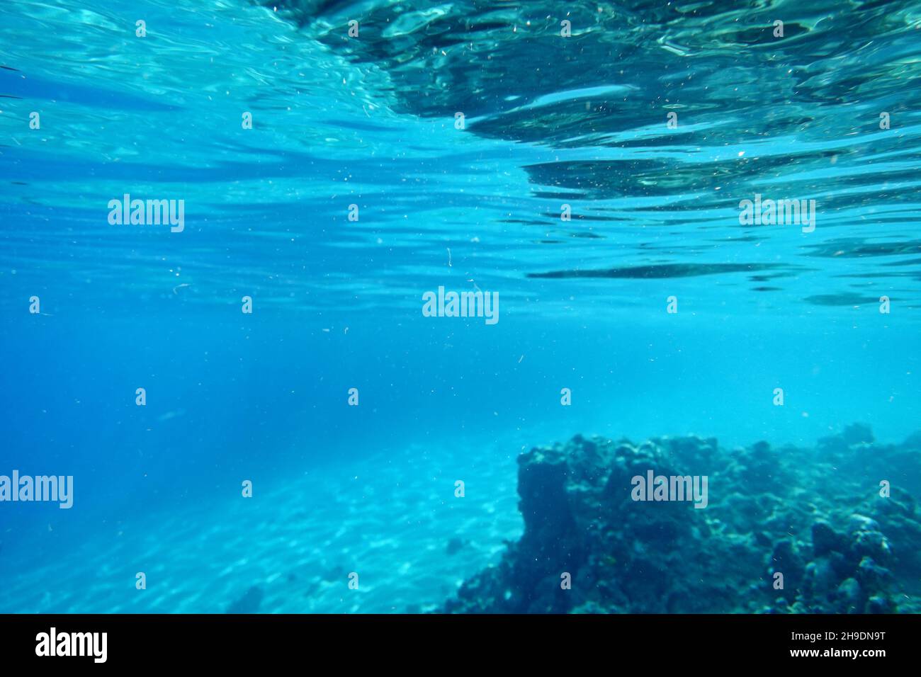 Beautiful underwater background, reef bottom Stock Photo - Alamy