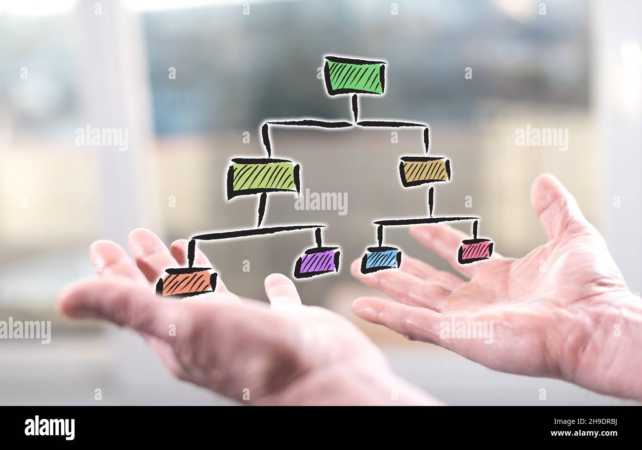 Organizational chart hi-res stock photography and images - Alamy