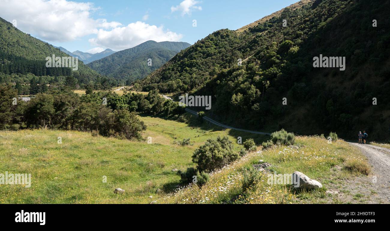View of the Tararua Forest Park, New Zealand Stock Photo - Alamy