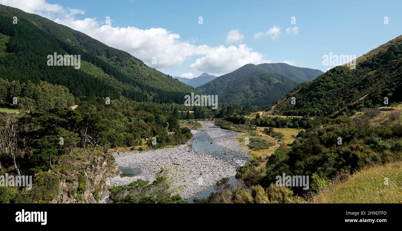 View of the Waingawa river and Tararua Forest Park, New Zealand Stock ...