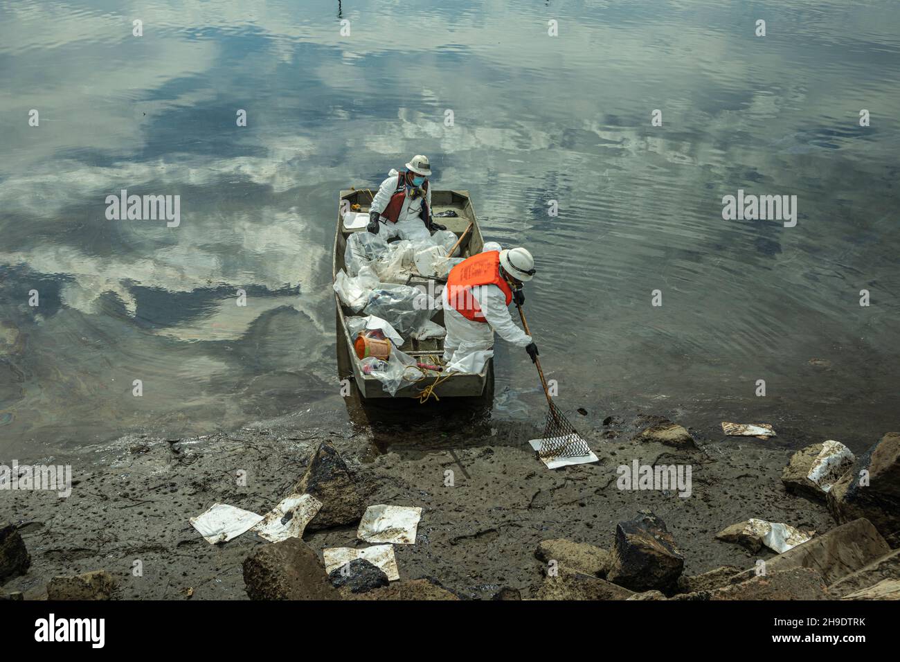 A cleanup crew mops up oil in the Talbert Marsh, home to many birds and ...