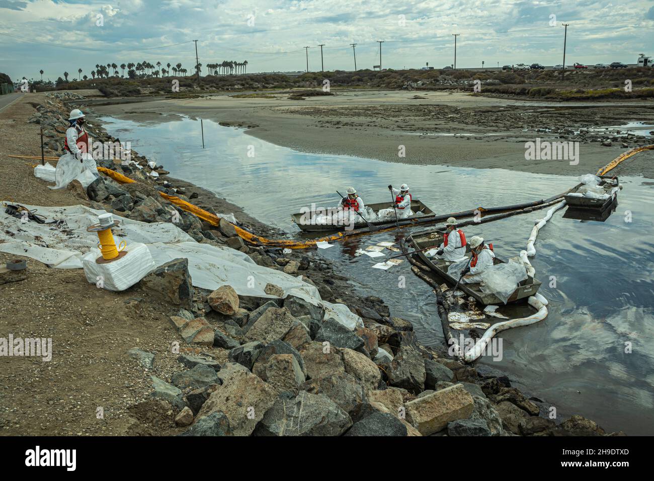 A cleanup crew mops up oil in the Talbert Marsh, home to many birds and ...