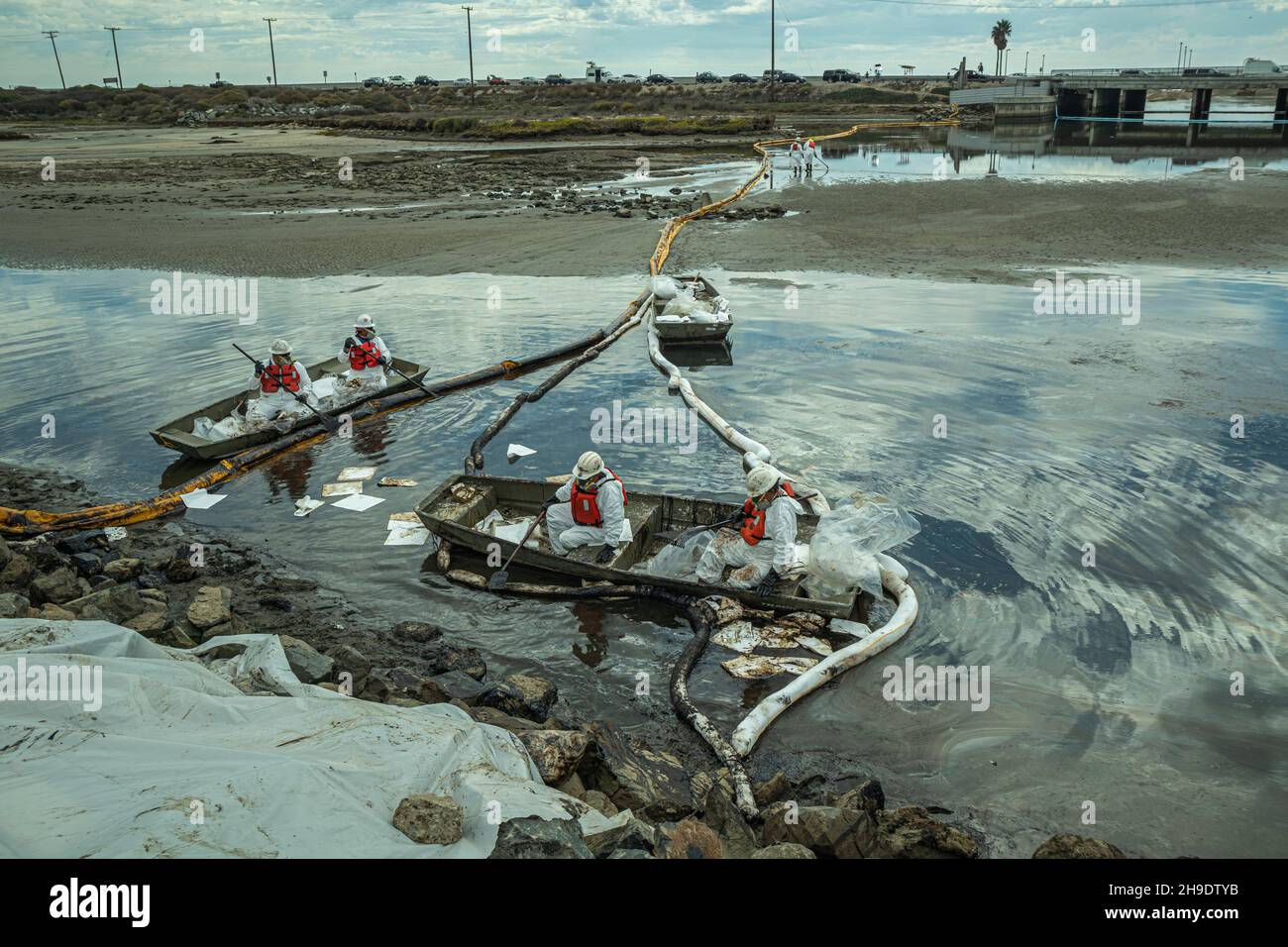 A cleanup crew mops up oil in the Talbert Marsh, home to many birds and ...