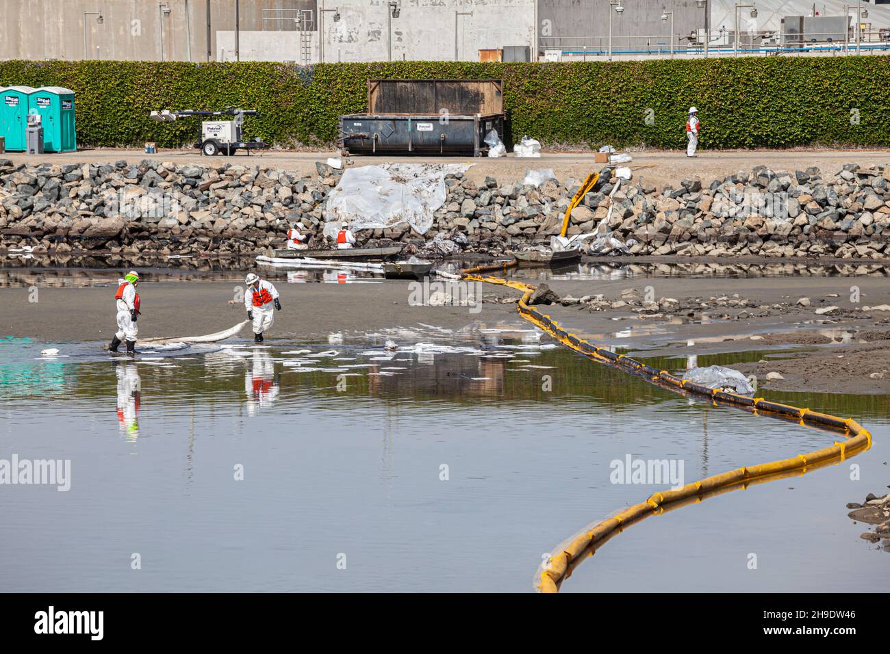 A cleanup crew mops up oil in the Talbert Marsh, home to many birds and ...