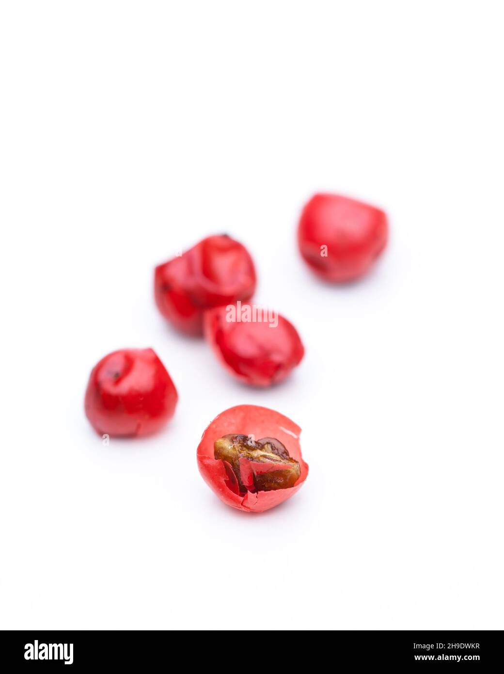 Course background pink Cut Out Stock Images & Pictures - Alamy