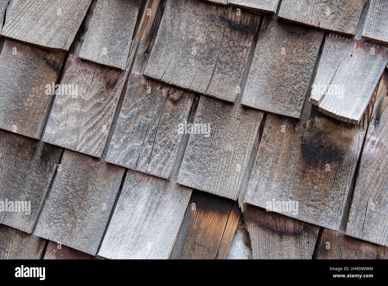 Colorado, Teller County, Victor, Vindicator Valley Trail. Historic gold ...