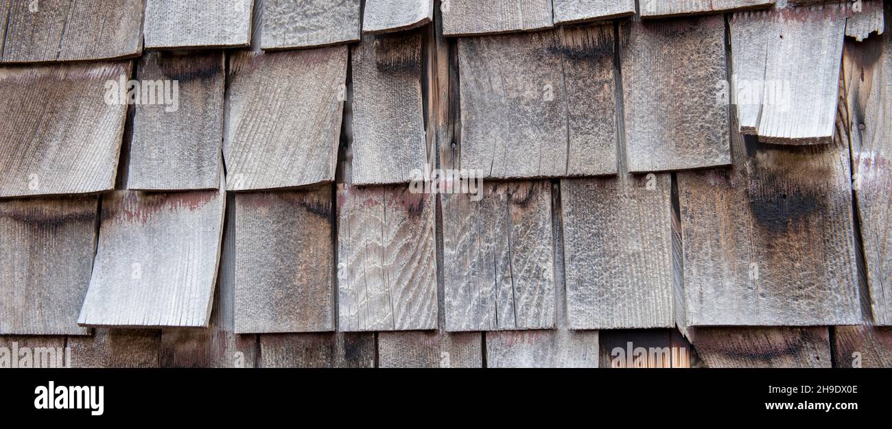 Colorado, Teller County, Victor, Vindicator Valley Trail. Historic gold ...