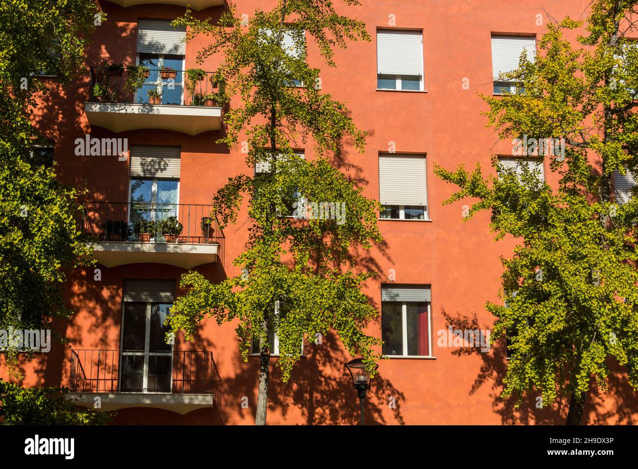 Trees and a red building in Bologna, Italy Stock Photo - Alamy