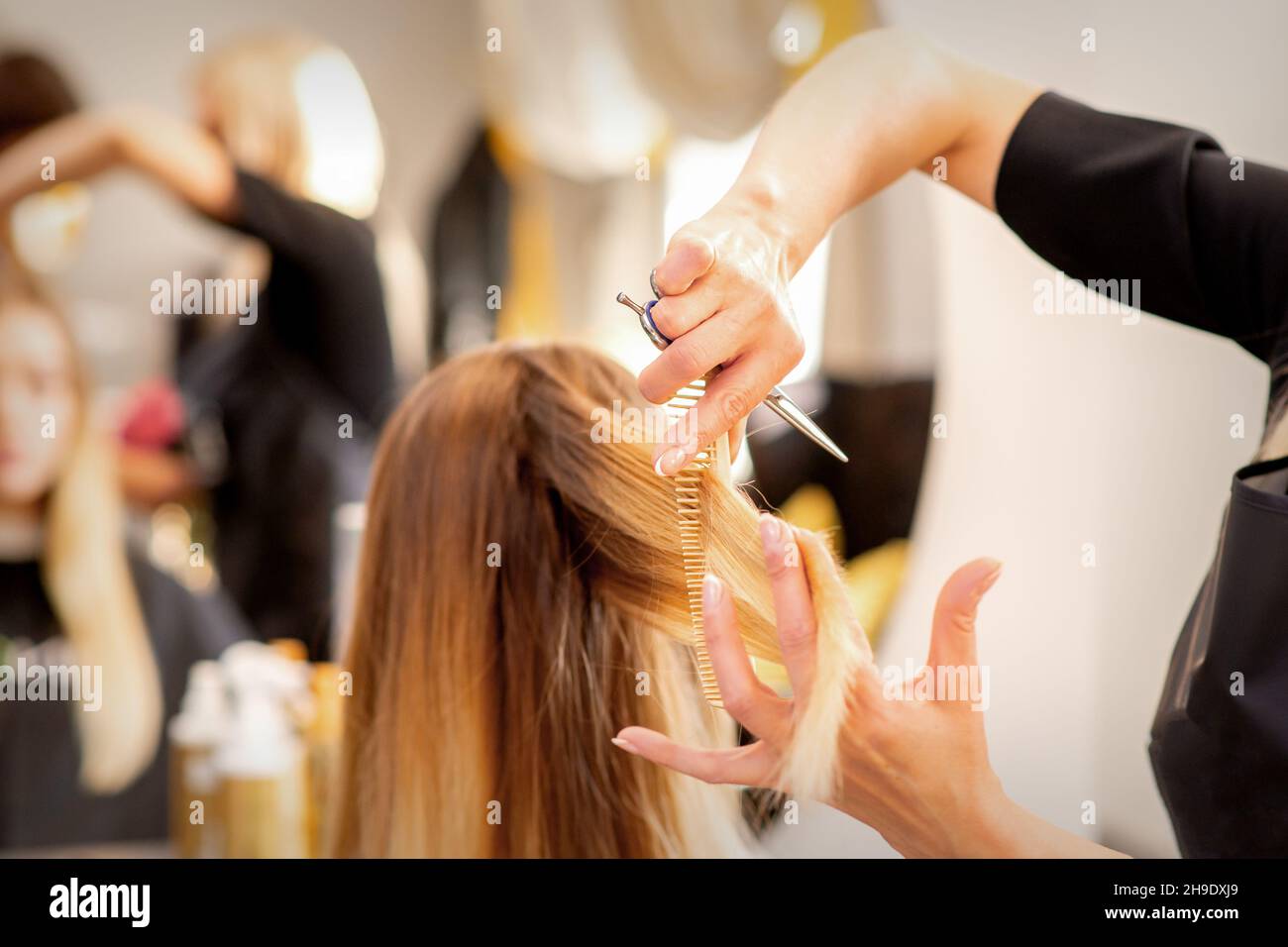 Haircutting in process hi-res stock photography and images - Alamy