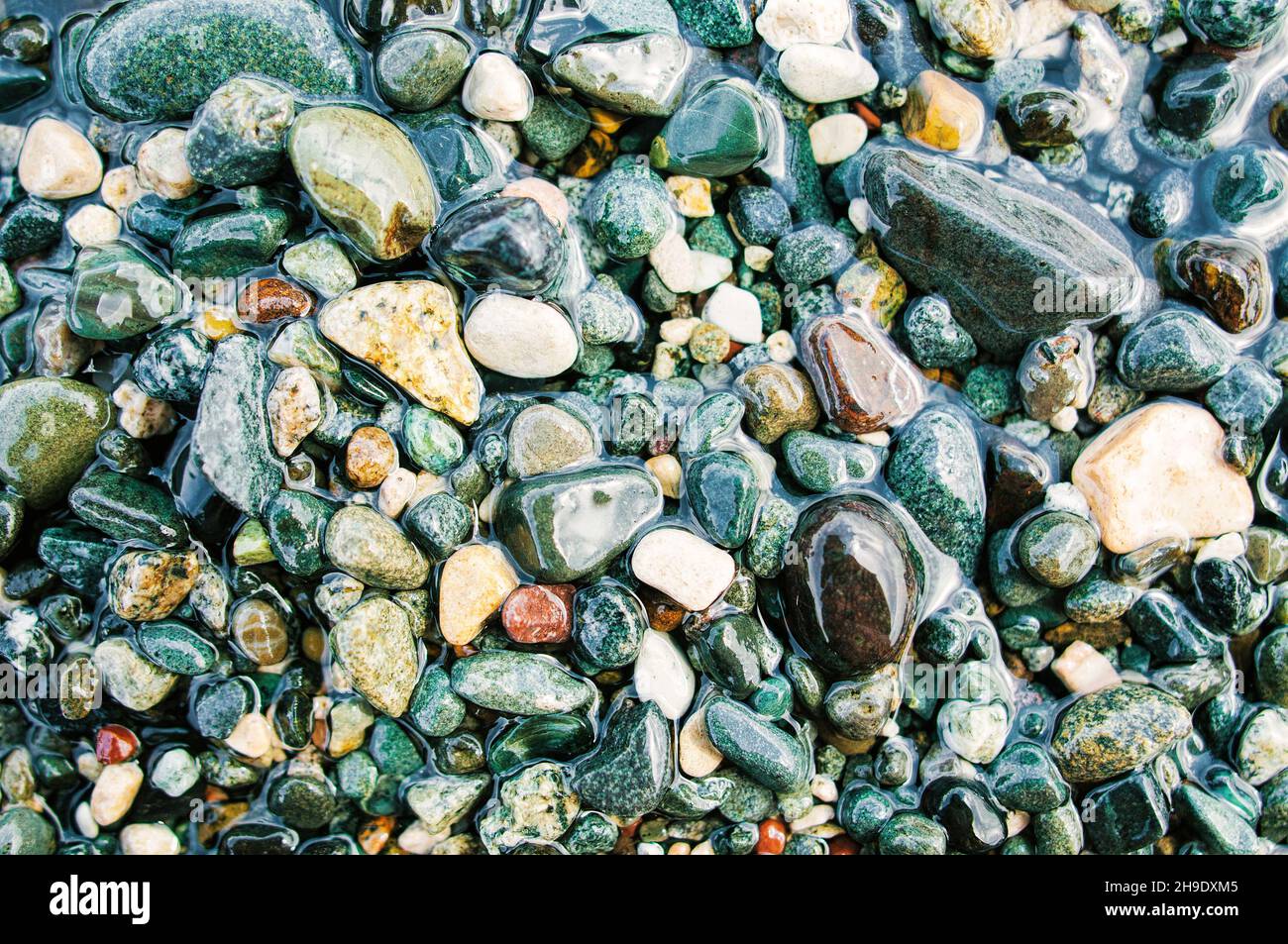Colorful sea pebbles on the shore close up. Top view, flat lay ...