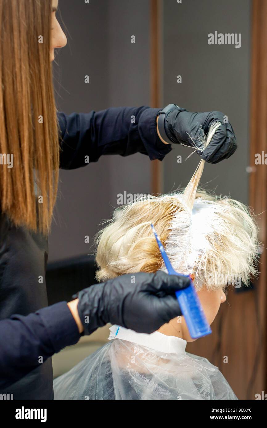 Coloring female hair in the hair salon. Young woman having her hair ...