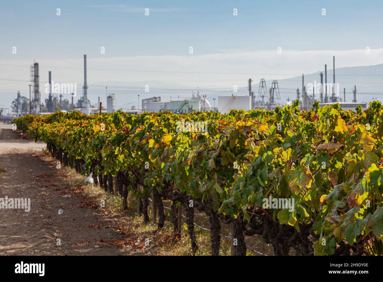 Oil production, Lamont, Kern County, California, USA Stock Photo - Alamy