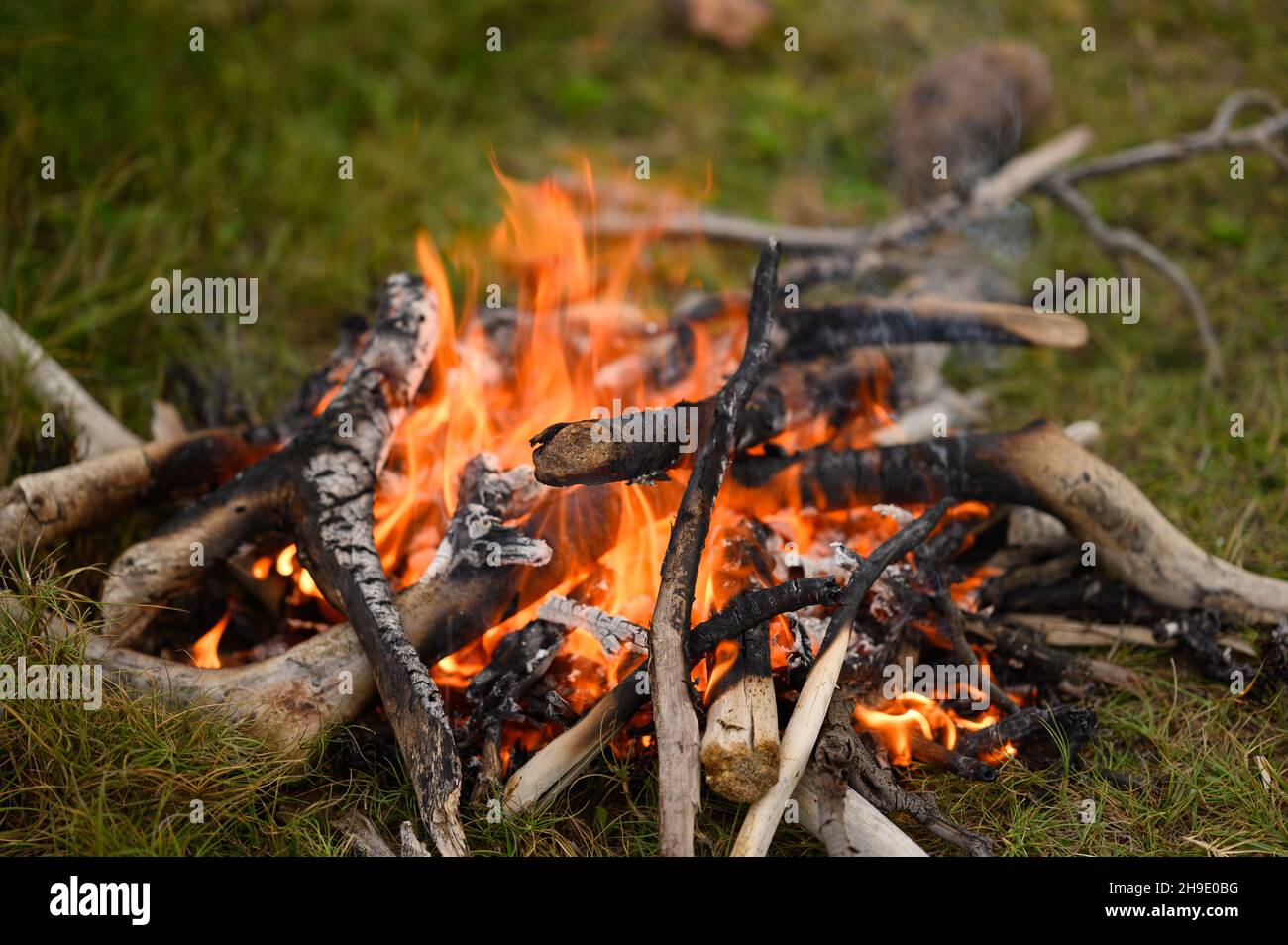 Photo shows how the fire is burning, tongues of flame of orange thread ...