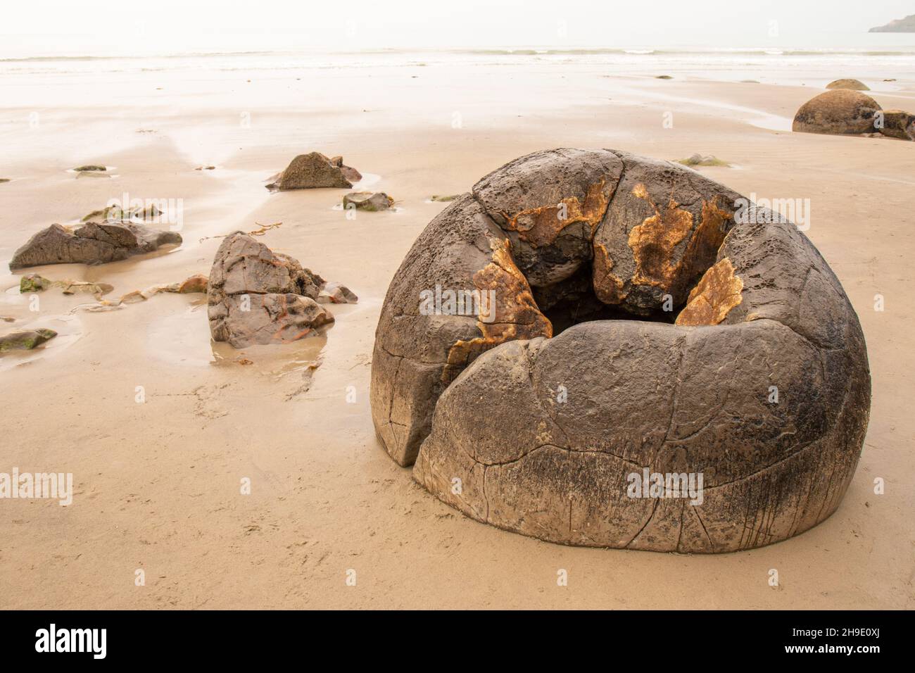 A split Moeraki Boulder showing the hollow interior. The sky cast in an ...