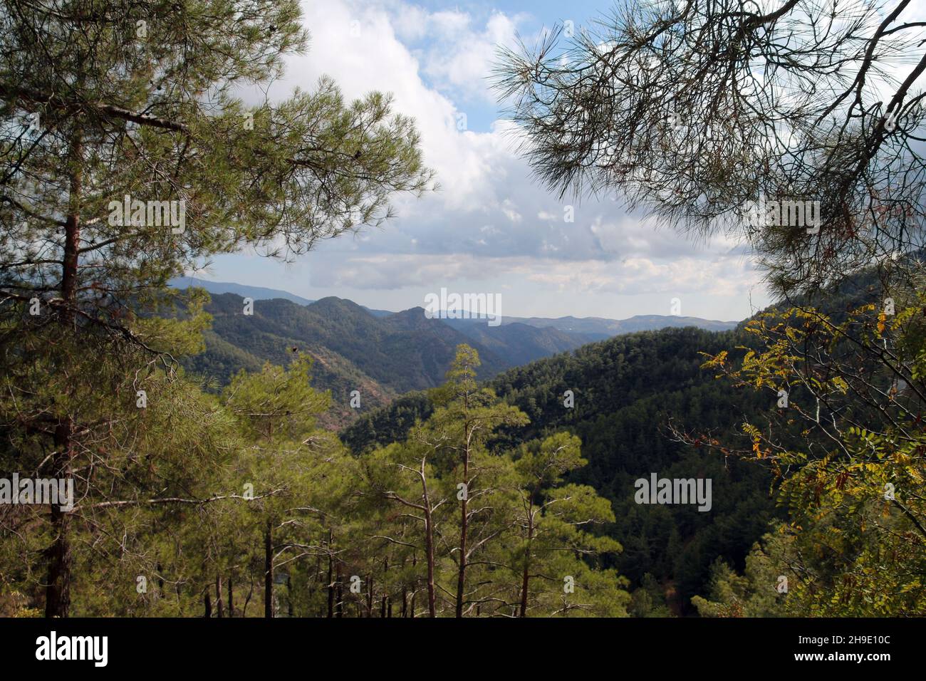 Cyprus forest republic troodos hi-res stock photography and images - Alamy