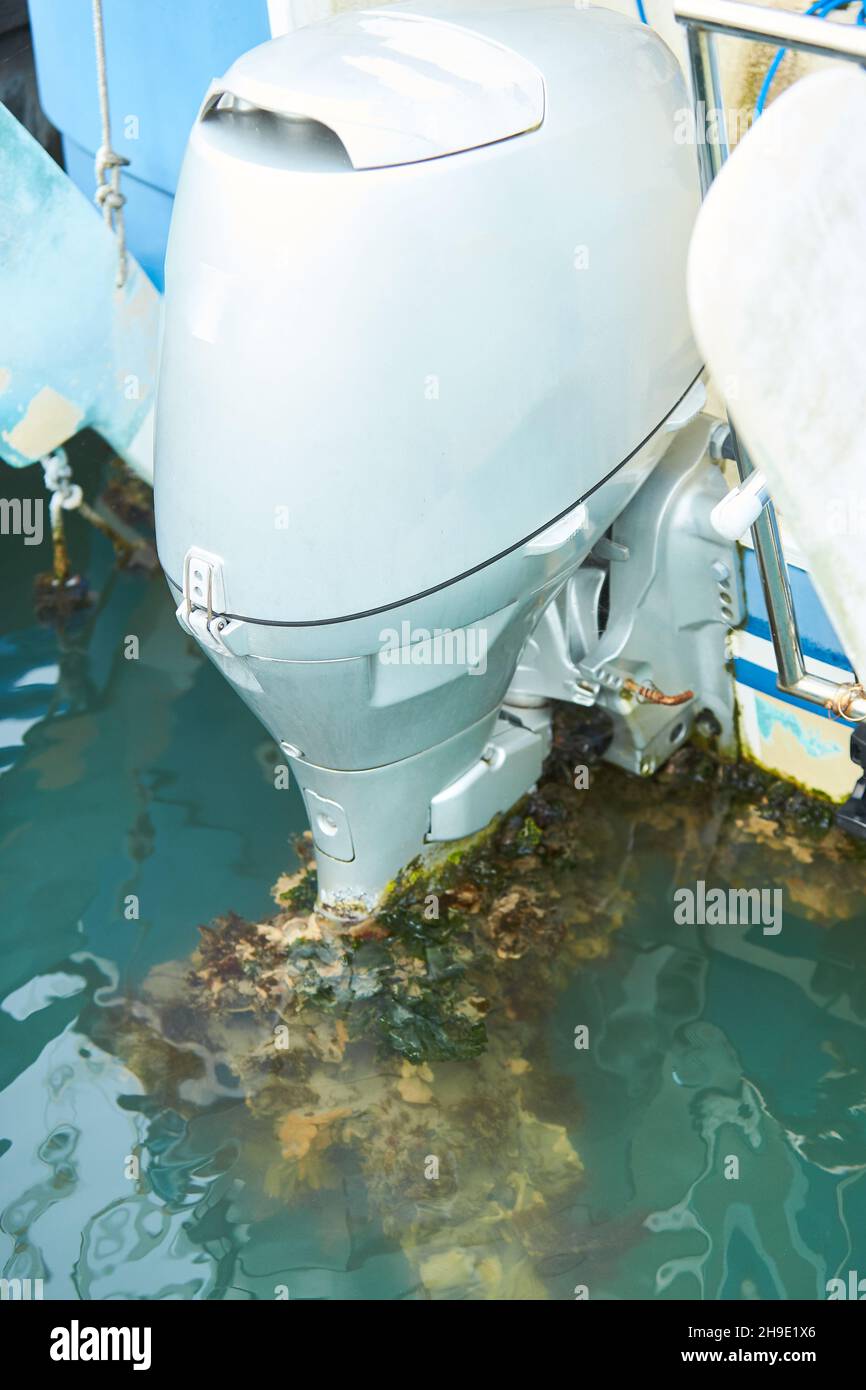 Molluscs, overgrown ship bottom. Shellfish on the hull of the ship ...