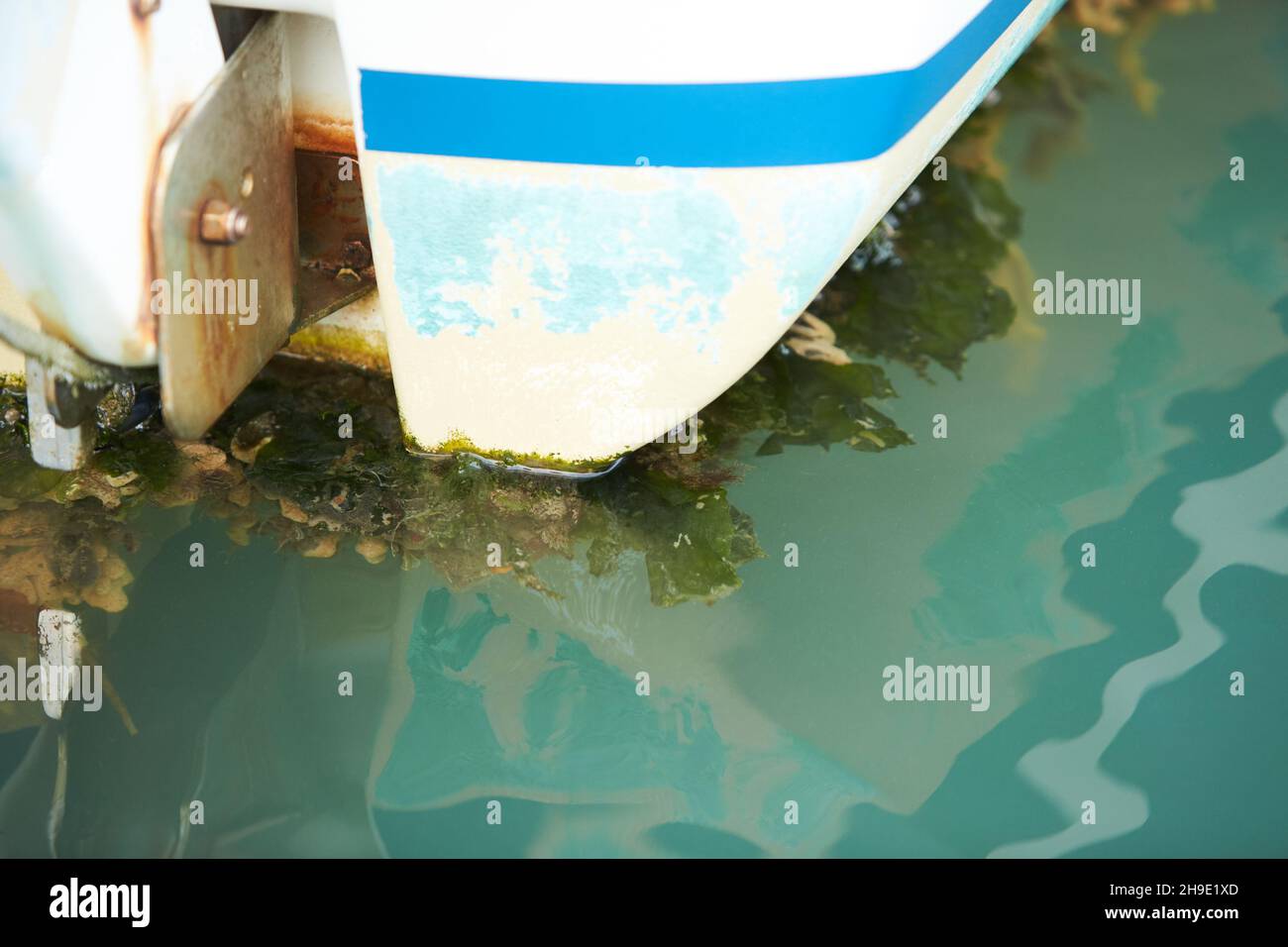 Molluscs, overgrown ship bottom. Shellfish on the hull of the ship ...