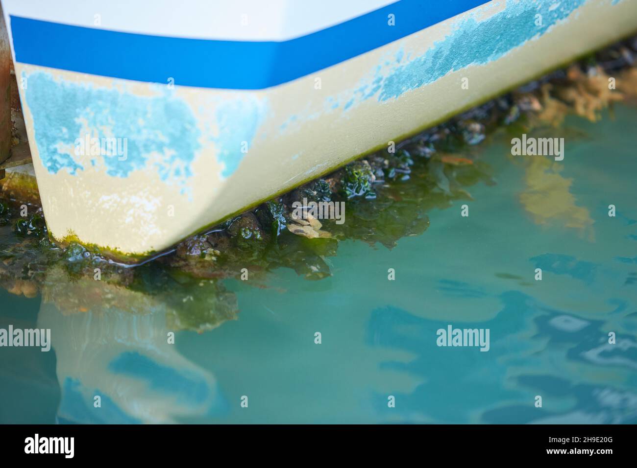 Molluscs, overgrown ship bottom. Shellfish on the hull of the ship ...