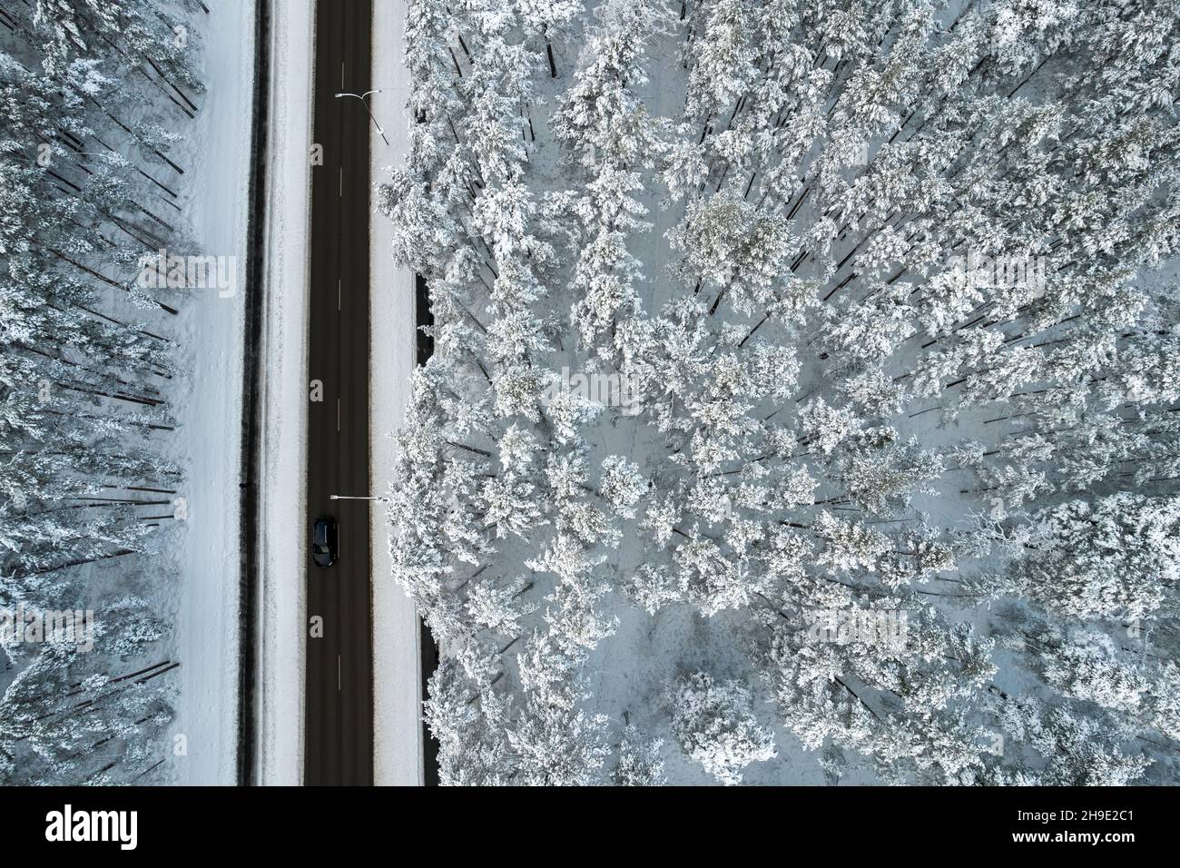 Aerial view of asphalt highway leading through frosty winter forests ...