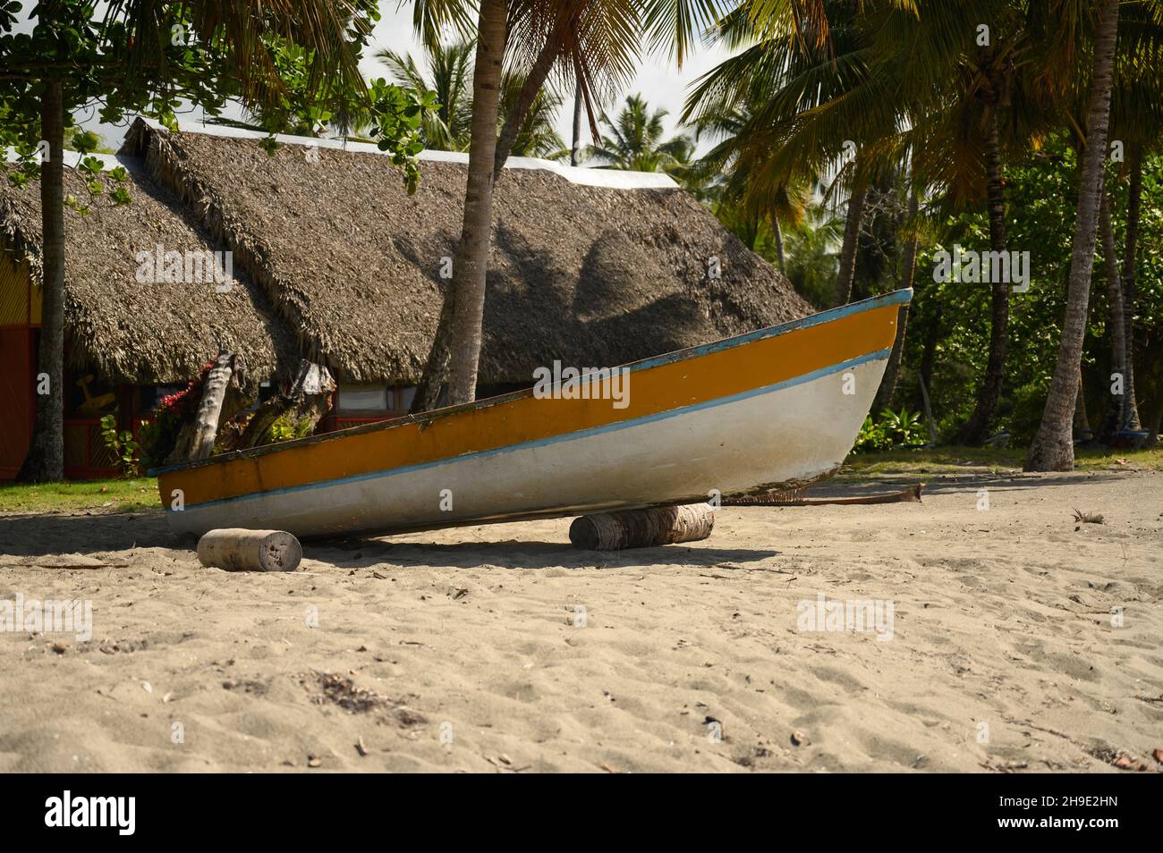 The photo shows the exotic coast of the Atlantic Ocean. Ocean, palms ...