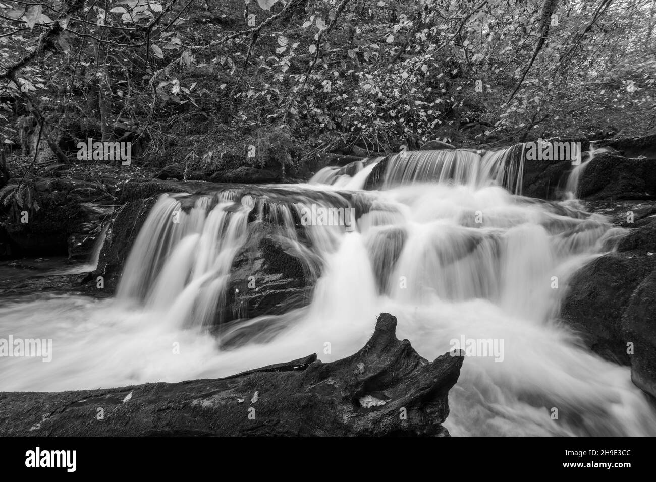 Watersmeet lynmouth Black and White Stock Photos & Images - Alamy