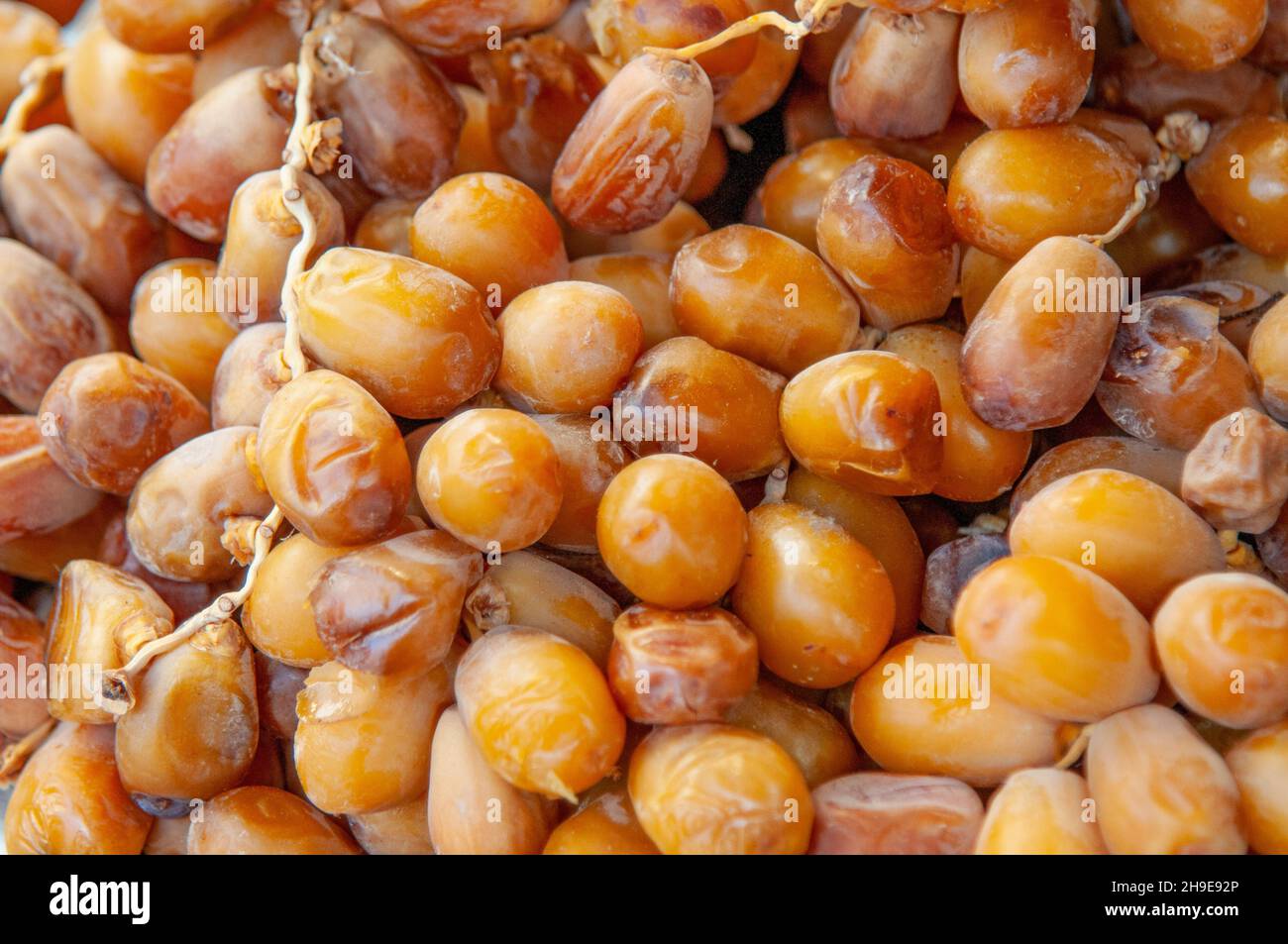 Dates on the stall in an oriental market in Turkey Stock Photo - Alamy