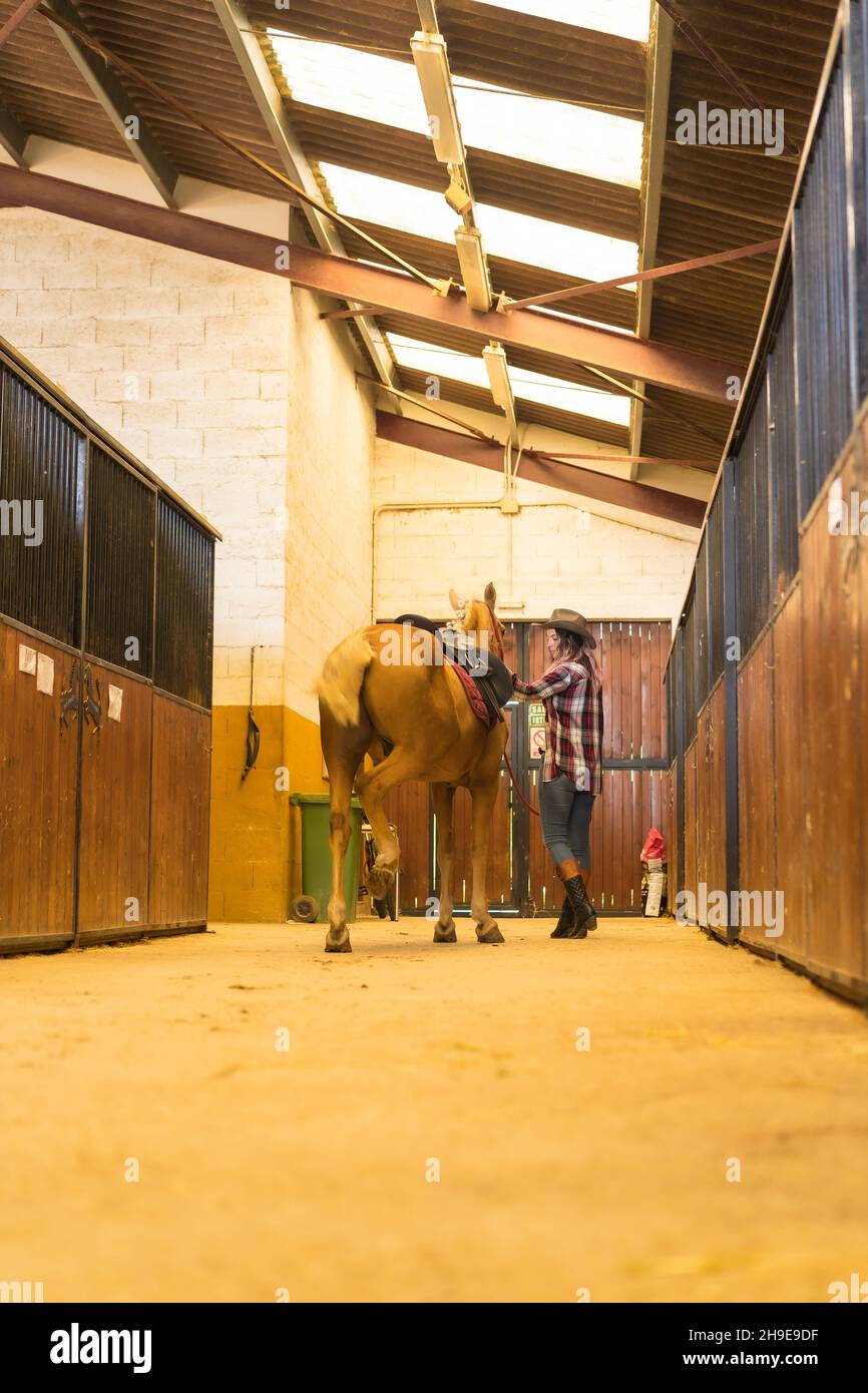 Woman walking a horse hi-res stock photography and images - Alamy