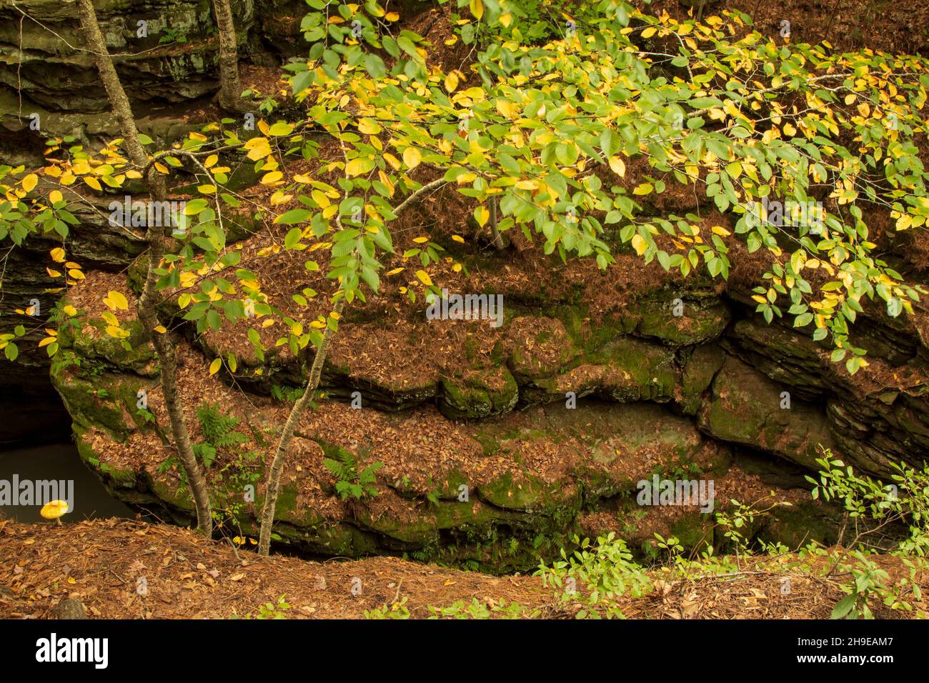 Beautiful transition hi-res stock photography and images - Alamy