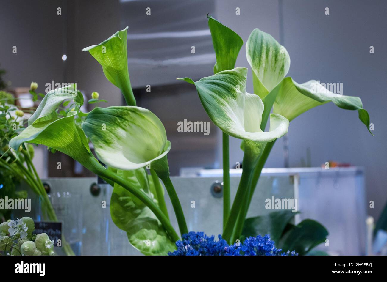 Completely unusual hi-res stock photography and images - Alamy