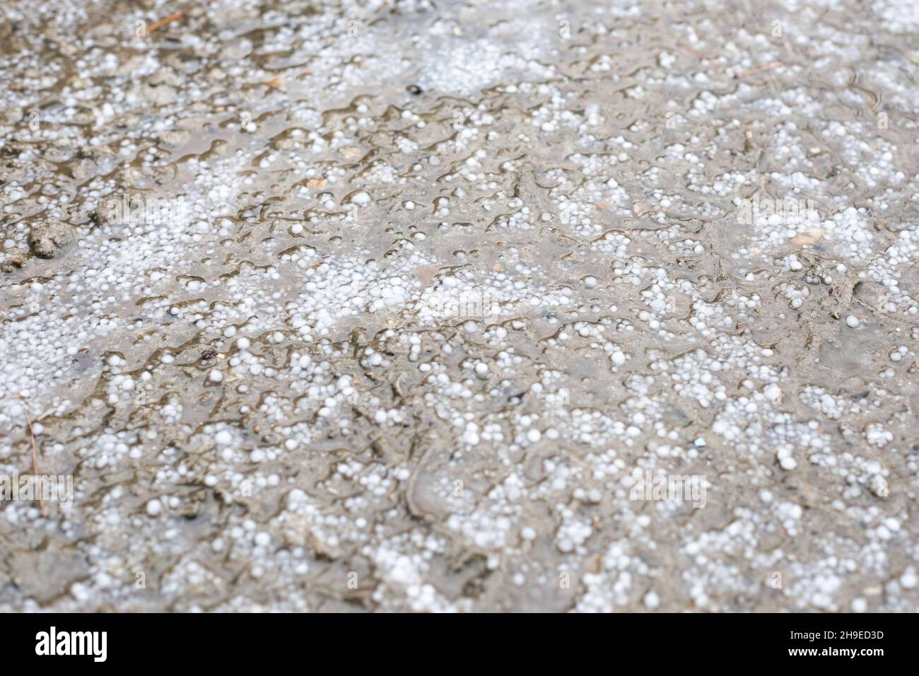 Ice hail on the wet track surface. Seasonal bad weather Stock Photo - Alamy